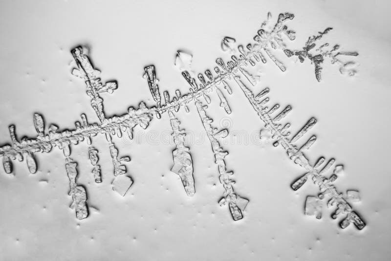 Tears Viewed at the Microscope Stock Image - Image of tear, cell: 121224247