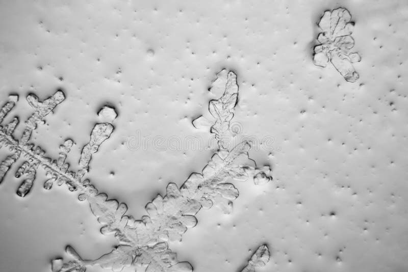 Tears Viewed at the Microscope Stock Image - Image of blue, laboratory ...