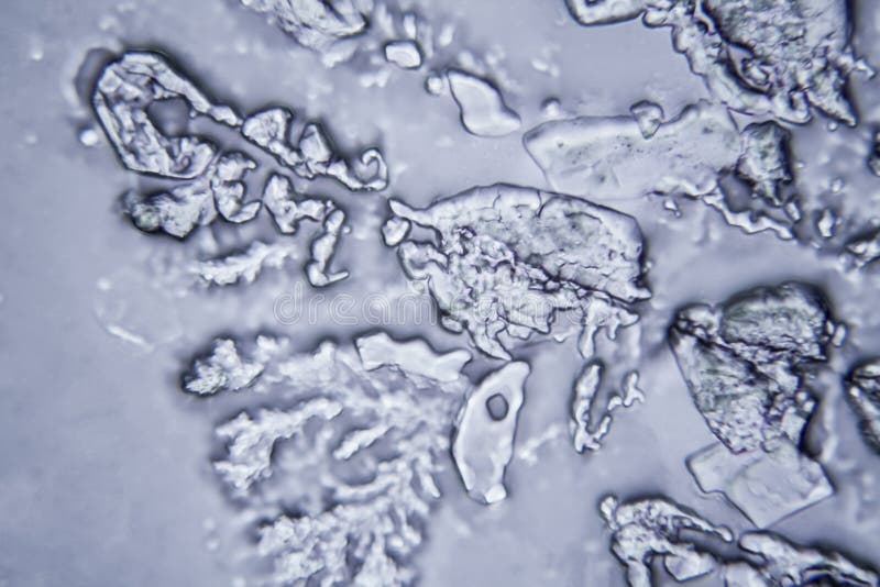 Tears Viewed at the Microscope Stock Photo - Image of blue, textures ...