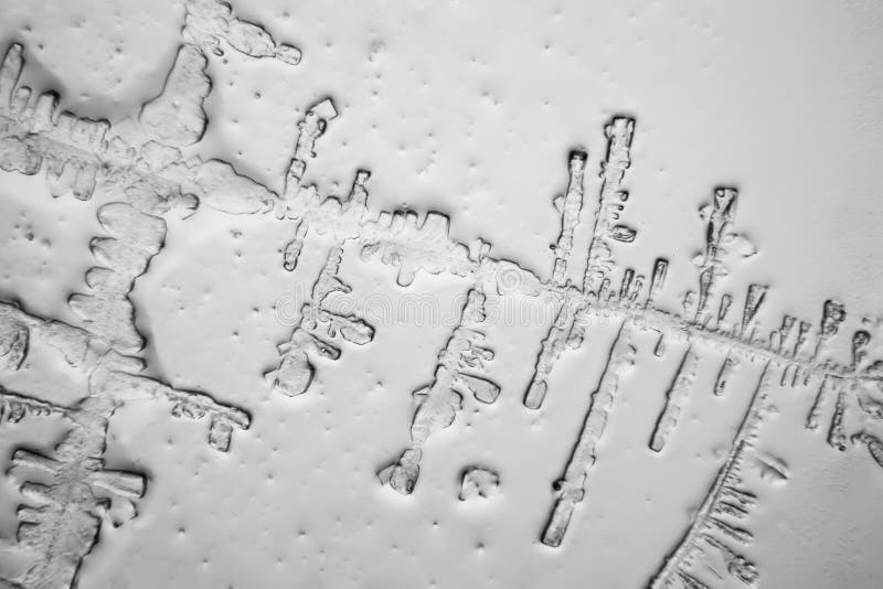 Tears Viewed at the Microscope Stock Photo - Image of viewed, liquid ...