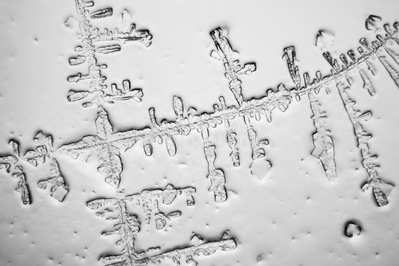 Tears Viewed at the Microscope Stock Photo - Image of white, eyes ...