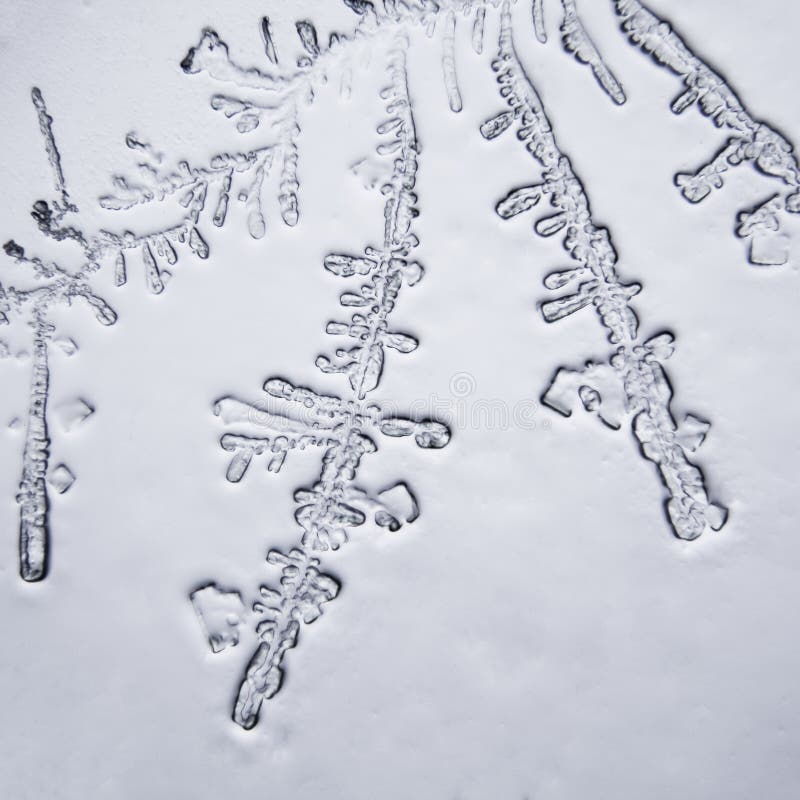 Tears Viewed at the Microscope Stock Photo - Image of laboratory, white ...