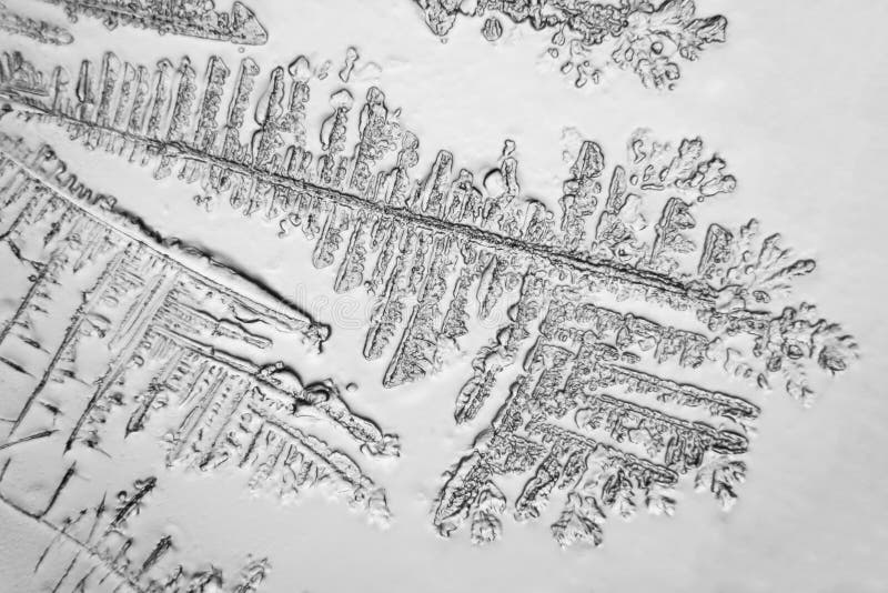 Tears Viewed at the Microscope Stock Image - Image of pain, blue: 138393375