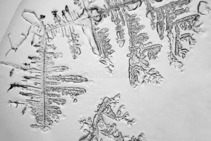 Tears Viewed at the Microscope Stock Image - Image of glass, tear ...