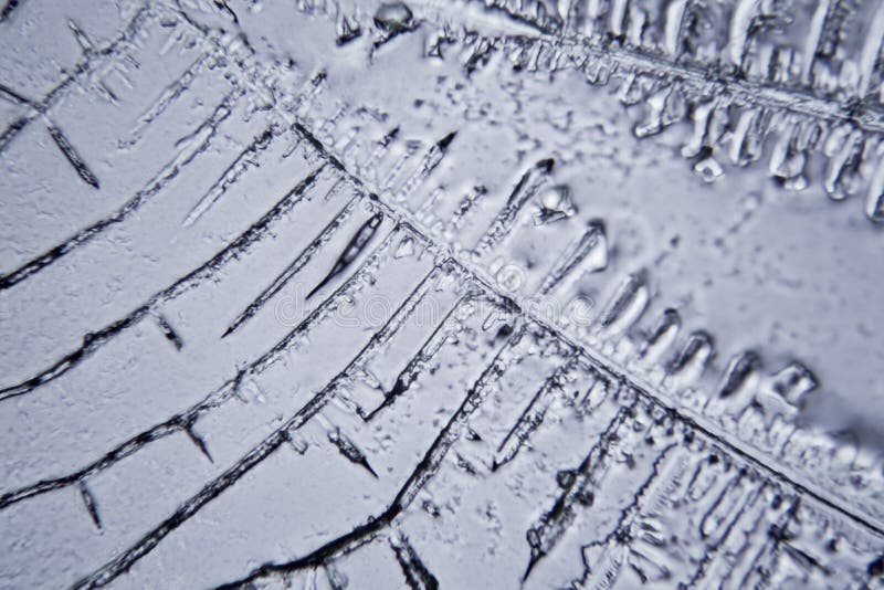 Tears Viewed at the Microscope Stock Photo - Image of texture, target ...