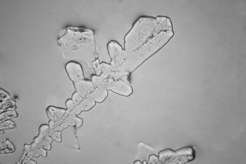 Tears Viewed at the Microscope Stock Image - Image of blue, texture ...