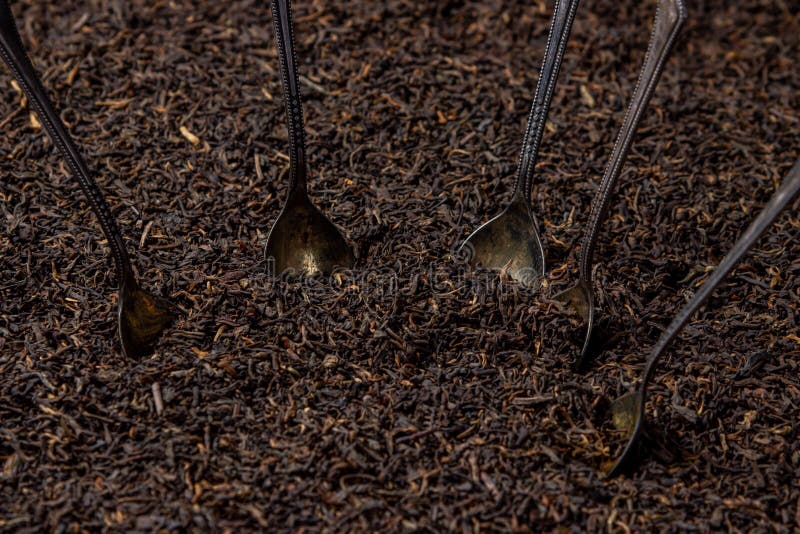 Teaspoons Sticking Out of a Pile of Loose Tea Stock Photo - Image of ...