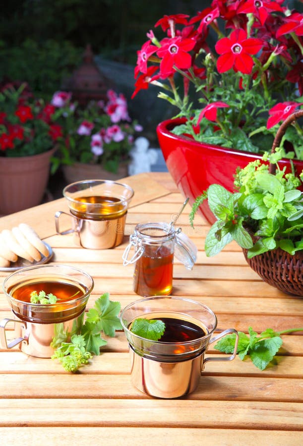 Summer tea time stock photo. Image of breakfast, fruit - 17390840