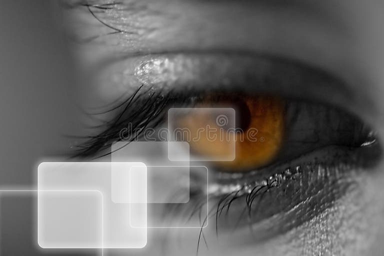Tech eye stock image. Image of guard, business, control - 6652041