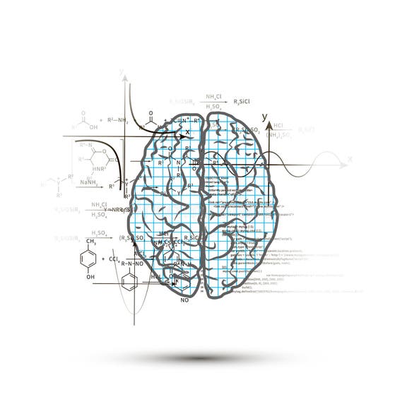 Technical Hemisphere of Human Brain in Top View, Right Side of Brain ...