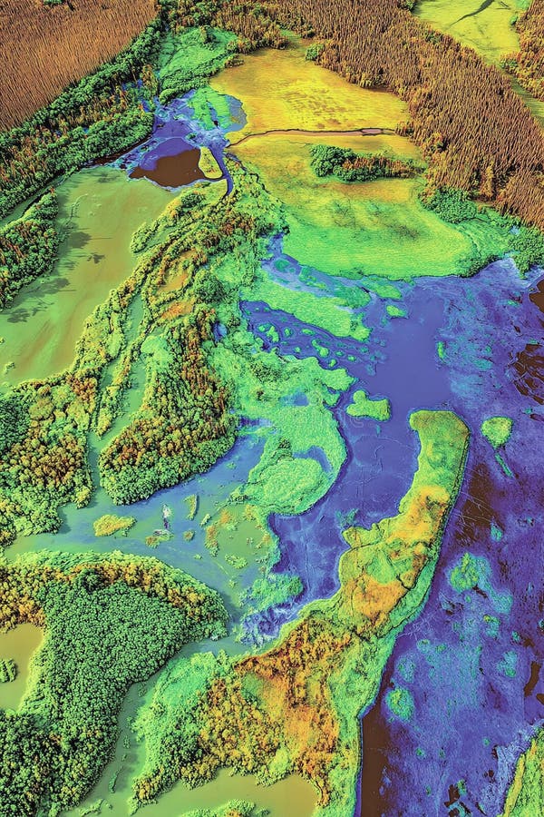 Technical LiDAR GIS Map of a Wetland Area Visualizing Elevation Water ...