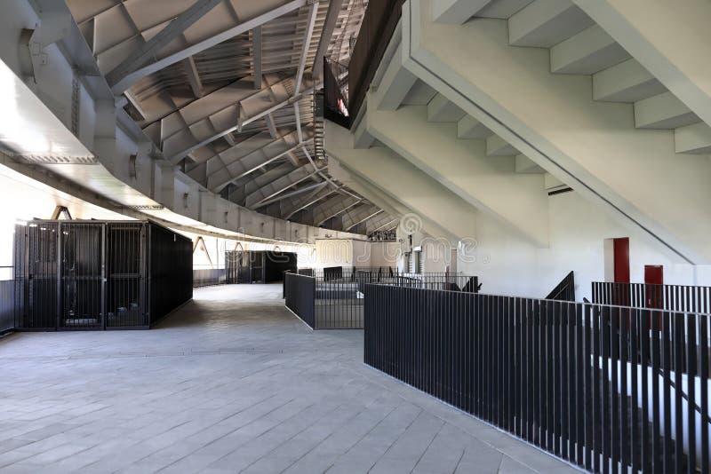 156 Football Stadium Ceiling Stock Photos - Free & Royalty-Free Stock ...