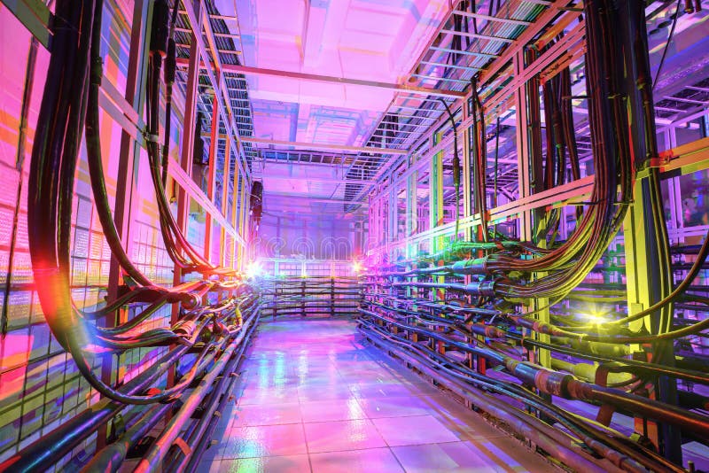 The Technical Room with Many Cables is Illuminated by Multi-colored ...