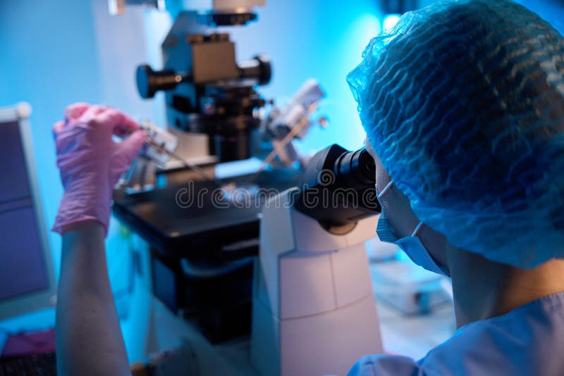 Technician Carefully Manipulating Samples Under a Microscope Stock ...
