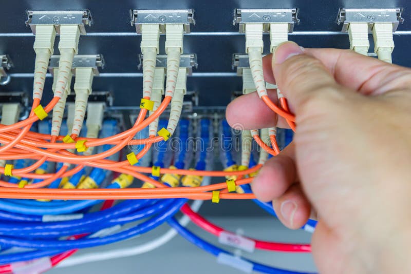 Technician Connect Fiber Cable Network To Switch Port in Server Room ...