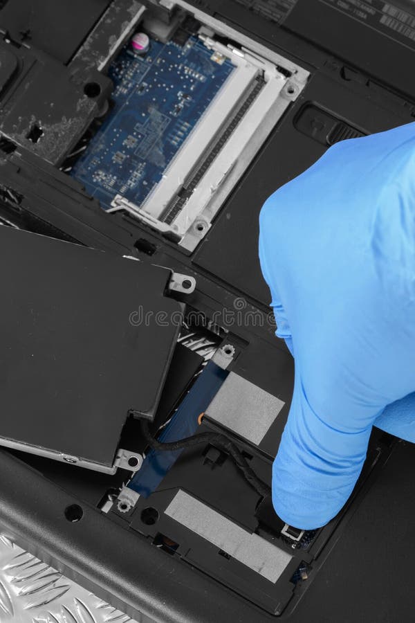 Technician Installing Hard Drive HDD To a Laptop Computer Using ...