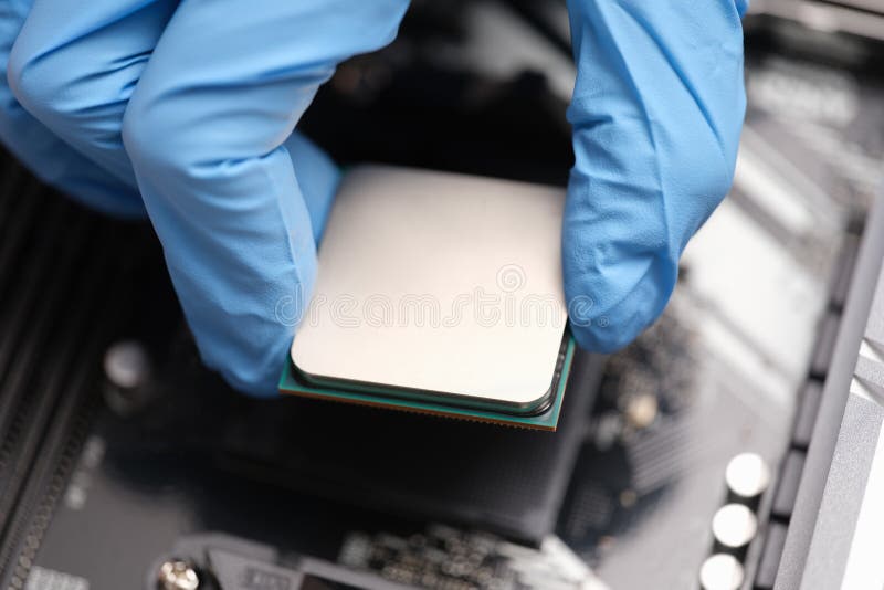 Technician Examines Microprocessor Chip on PC Motherboard Stock Image ...