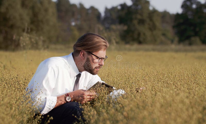 Technician Examining Crops Using Tablet Stock Photo - Image of field ...