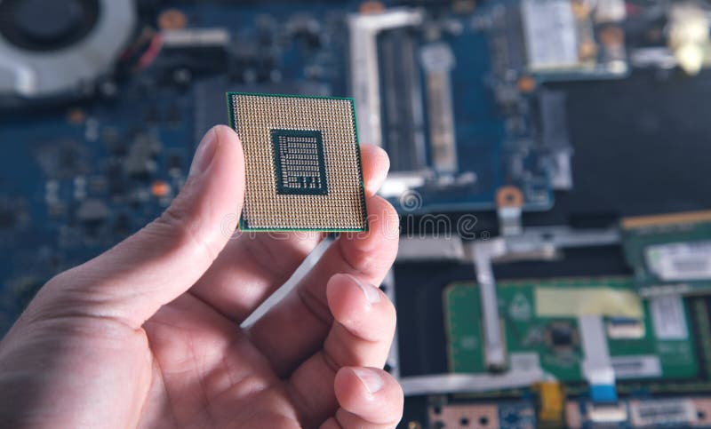 Technician Hand Holding Cpu Processor of Pc Stock Image - Image of work ...