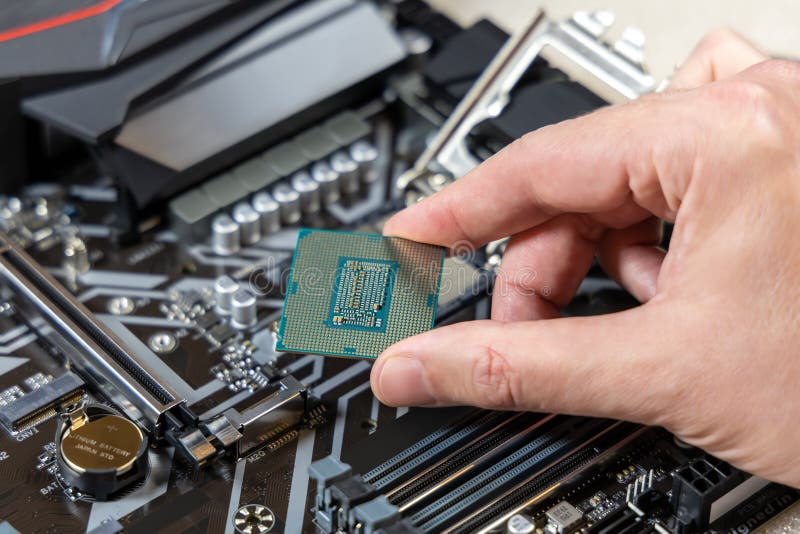 A Technician Holds the CPU Intel Against the Background of the ...