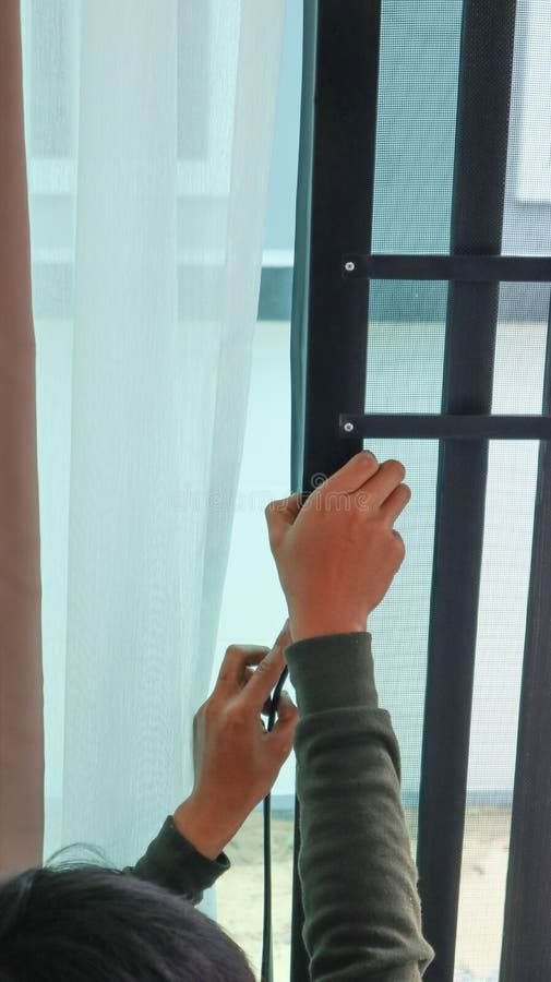 121 Insect Screen Installation Stock Photos - Free & Royalty-Free Stock ...