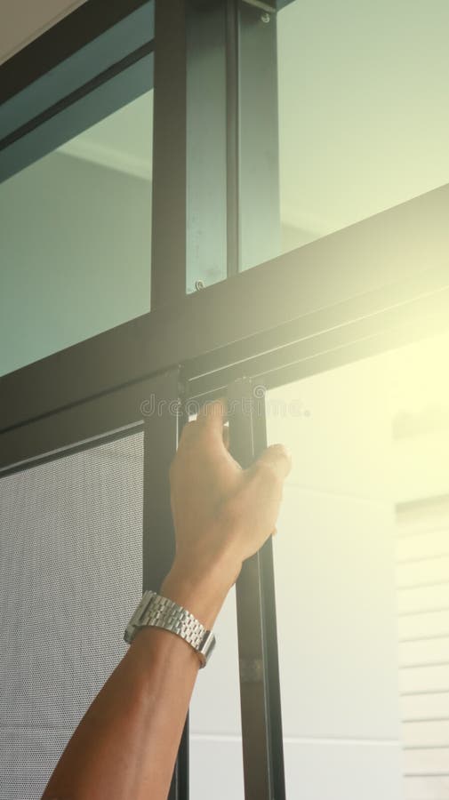 Technician Inspects a Window Frame Which is New Installed a Mosquito ...