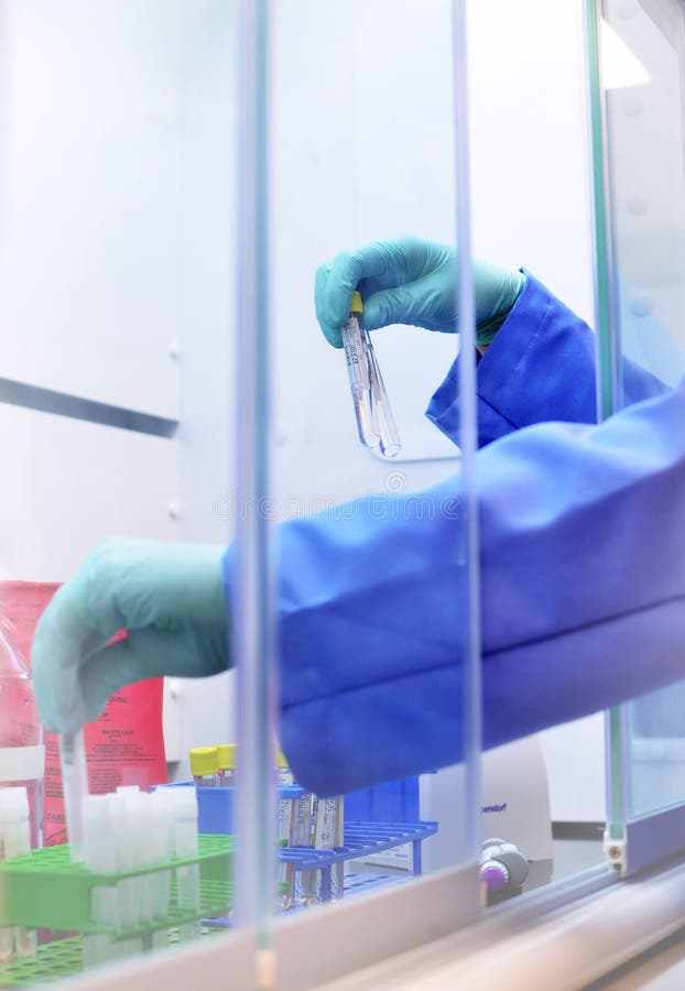 Medical Testing Equipment and Hands Holding Test Tubes Stock Photo ...