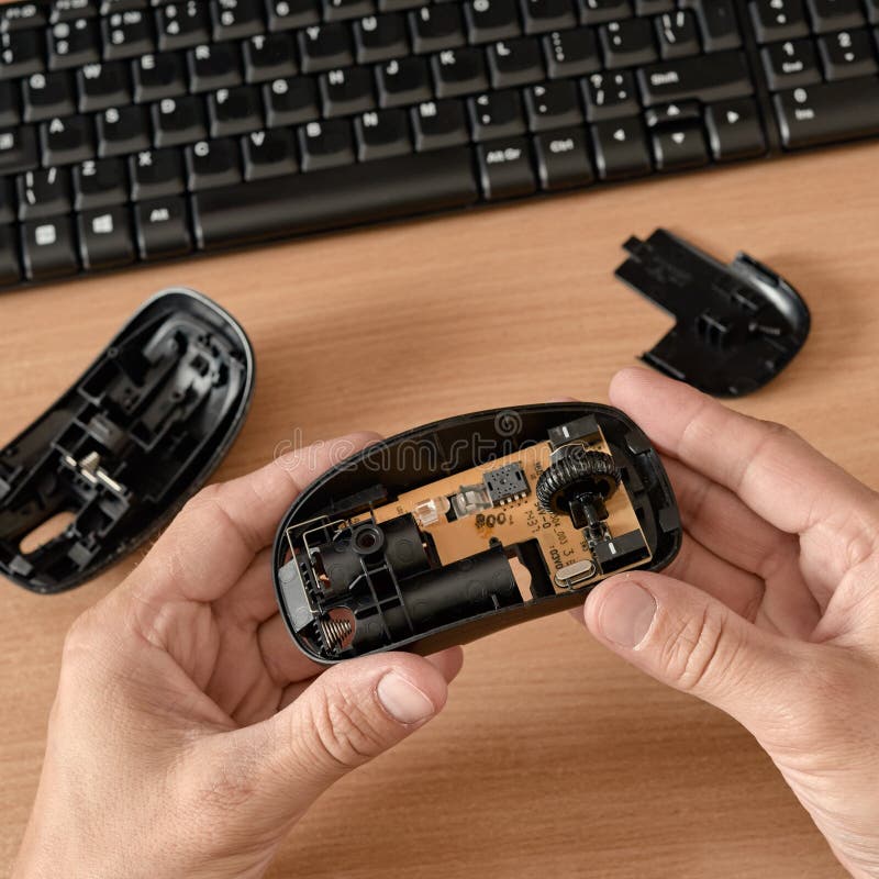 Technician Maintenance of Mouse Stock Photo - Image of hands, manual ...