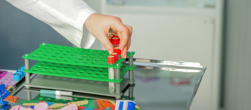 Technician Puts Test Tube To Rack Stock Image - Image of hold, clinical ...