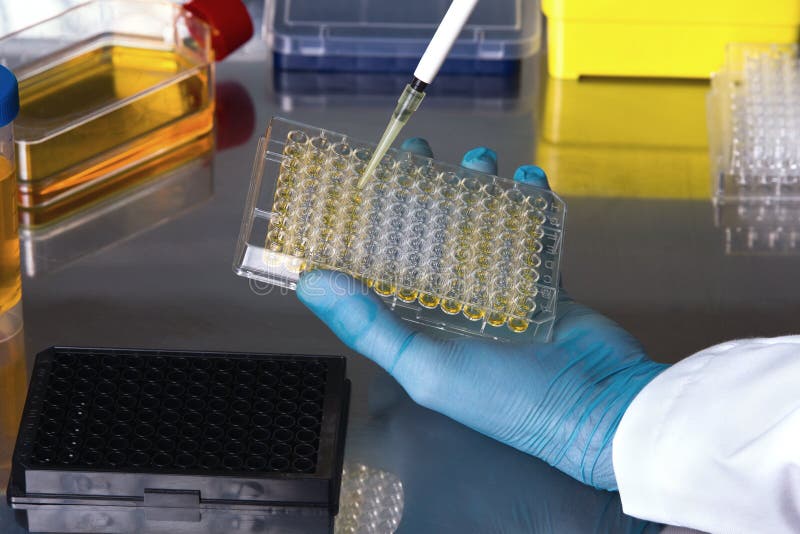 Microplates test stock photo. Image of biological, antigen - 6165542