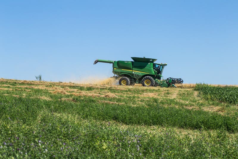 Technician Works in the Field for the Harvest Editorial Photo - Image ...