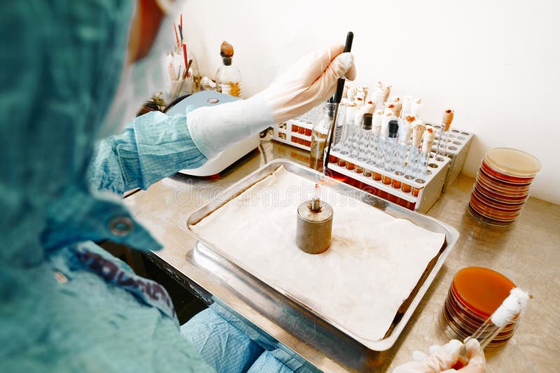 Technician Works on Special Project Examining Test Samples Stock Photo ...