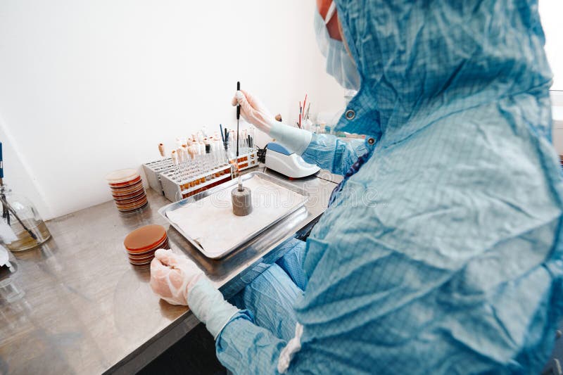 Technician Works on Special Project Examining Test Samples Stock Photo ...