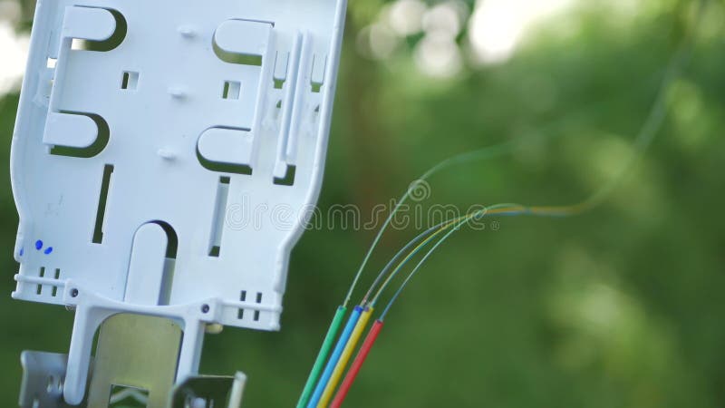 Technicians are Installing Optic Fiber with Cable Ties. Stock Photo ...