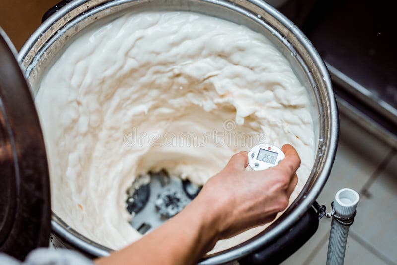 Production of Cheese on the Farm. Stock Image - Image of fresh ...