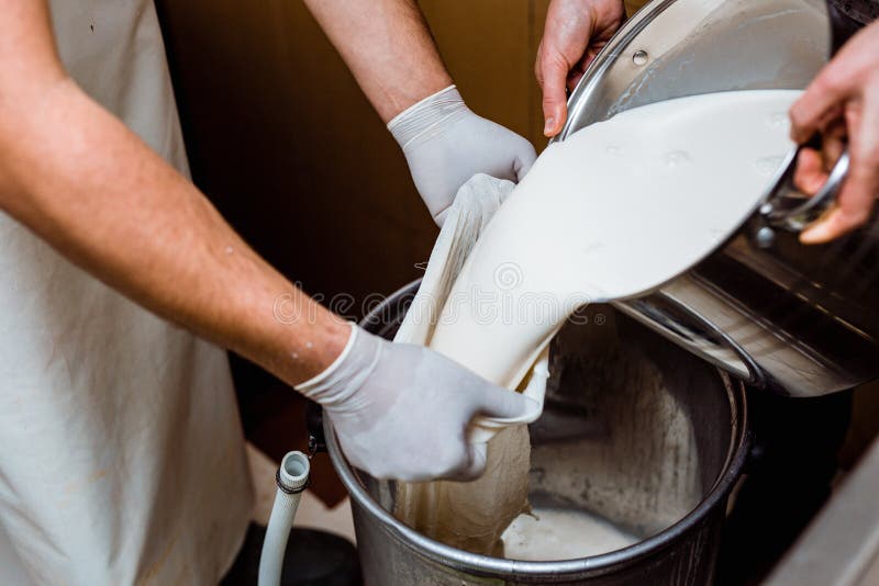 Production of Cheese on the Farm. Stock Image - Image of italy, chef ...