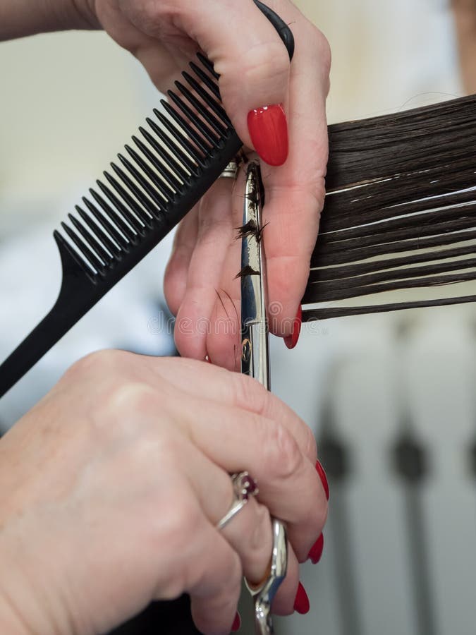 The Technique of Cutting Hair with Scissors. Stock Photo - Image of ...