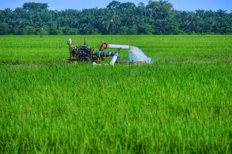 Objects and technologys stock image. Image of pasture - 339308001