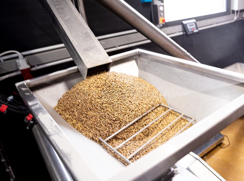 The Technological Process of Grinding Malt Seeds at the Mill Stock Image - Image of factory ...
