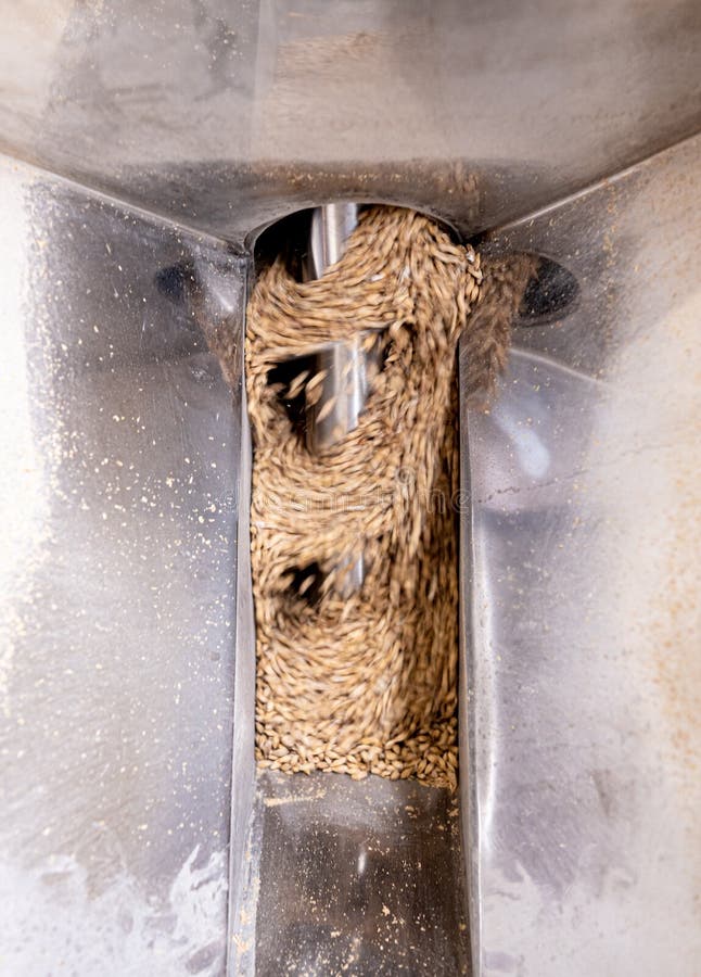 The Technological Process of Grinding Malt Seeds at the Mill Stock ...