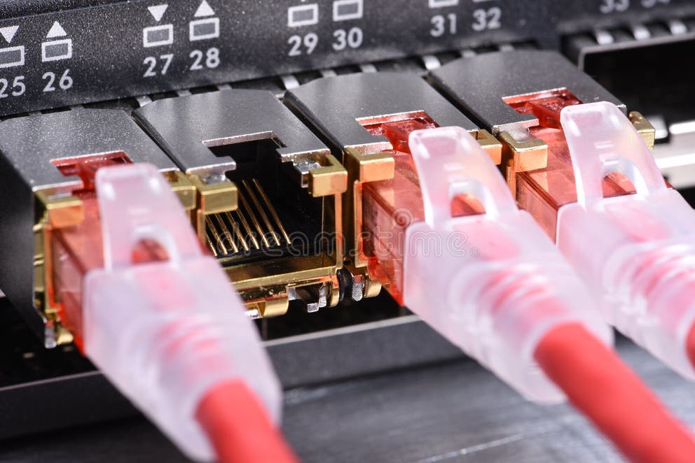 Technology Devices, Network Switch with Patch Cord Cables Stock Image ...