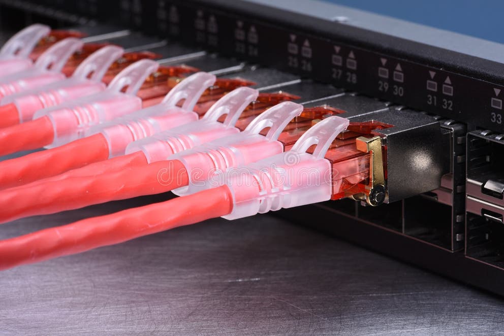 Technology Devices, Network Switch with Patch Cord Cables Stock Image ...