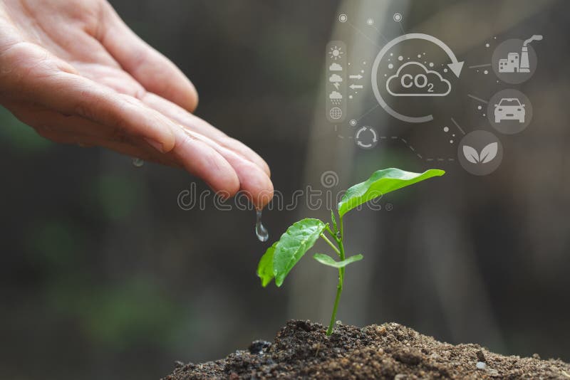Technology Environment, Hand Planting Trees with Technology of ...