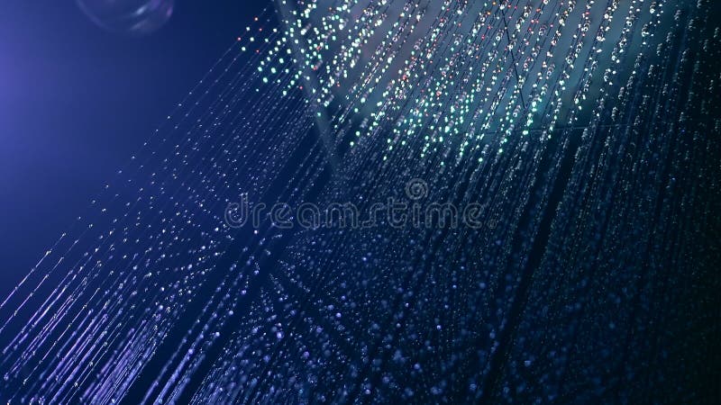 Technology with Lights and Lines that Pulse in Center, Networks ...