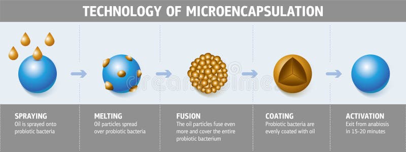 Technology of Microencapsulation Stock Vector - Illustration of element ...