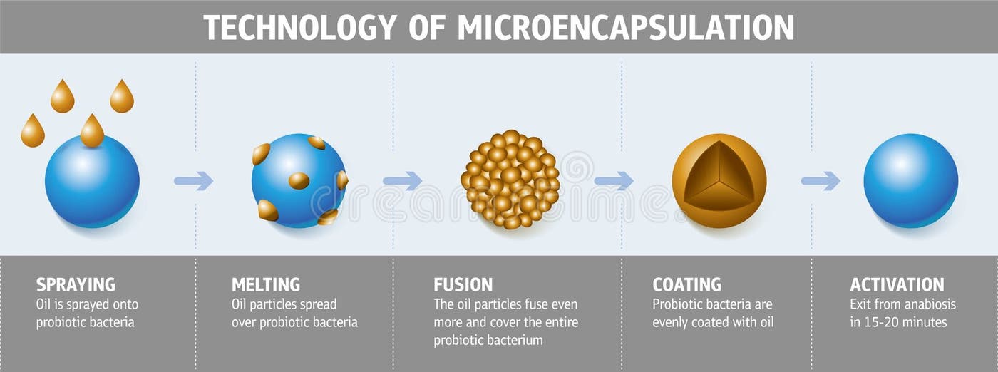 Microencapsulation Technology Stock Illustrations – 9 Microencapsulation Technology Stock ...