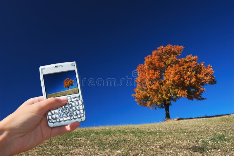 Technology and nature stock image. Image of fall, brown - 3451875