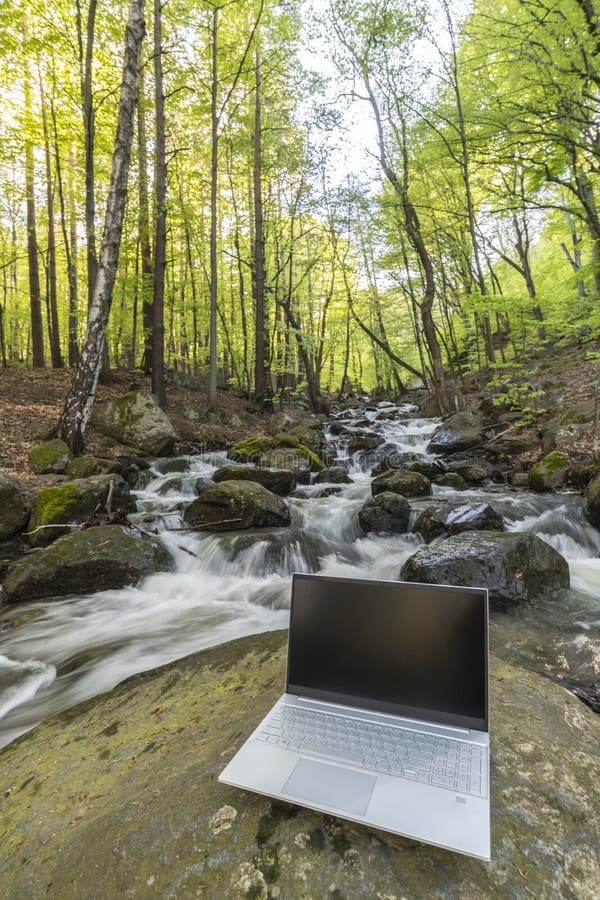 Technology in Nature Concept Image Stock Photo - Image of finance ...