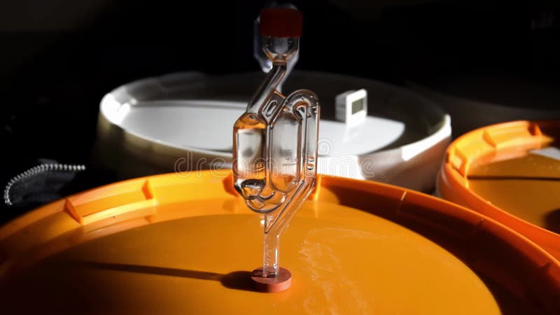 Technology Process of Fermentation of Homemade Wine. Glass Trap with ...