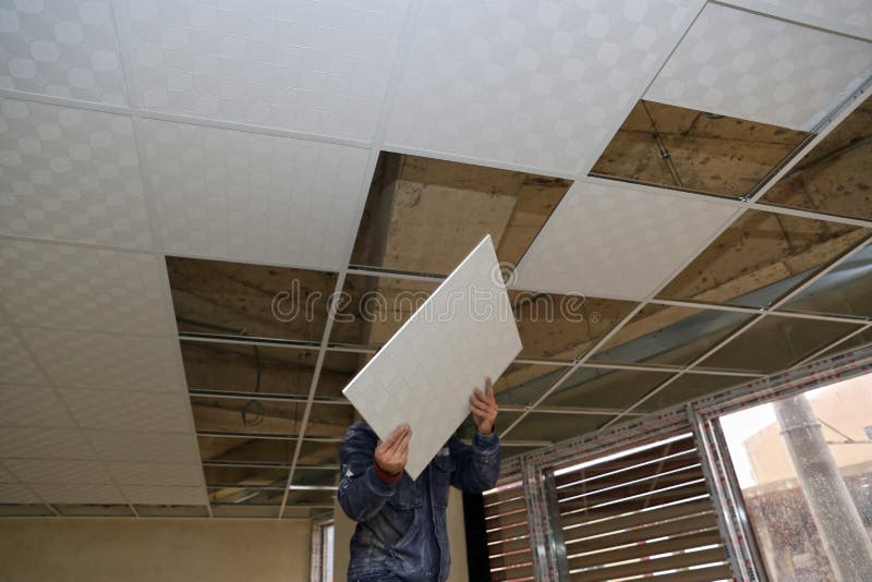 Instalación De Techos Suspendidos Foto de archivo - Imagen de casero ...